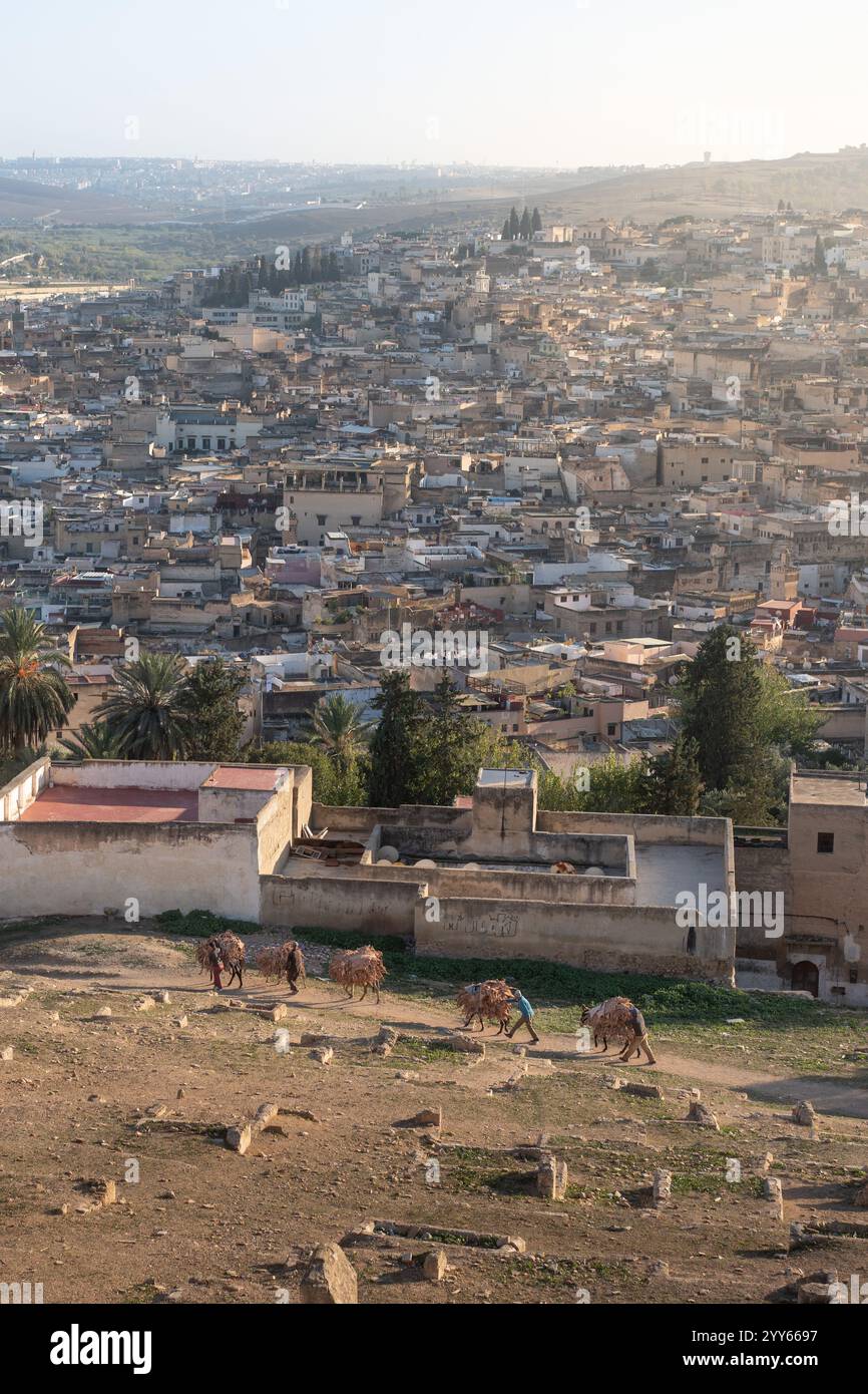 City of Fes, Maroc, Novembre 2024, Photographs by Jonathan Cathala ...