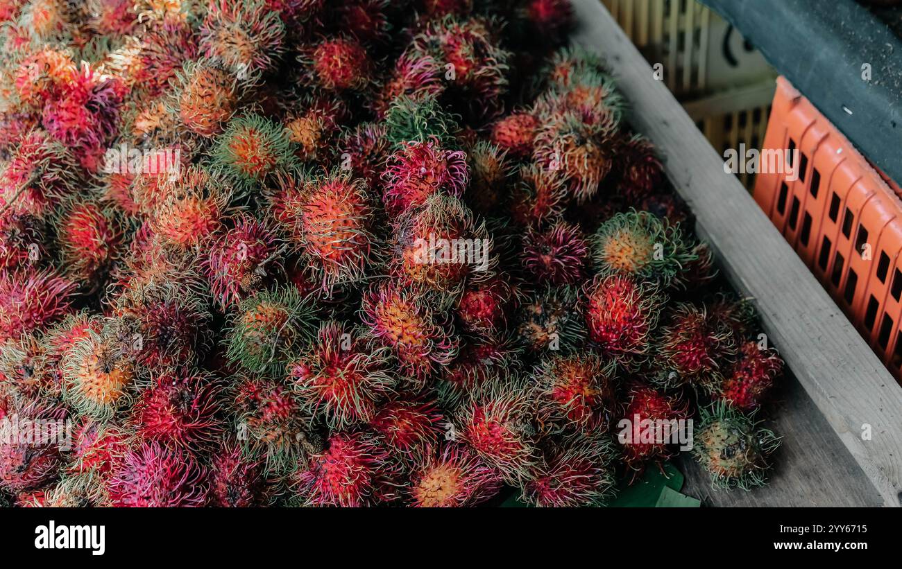 Showcased prominently in hi-res stock photography and images - Alamy