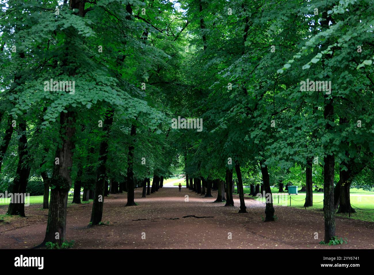 Detail of the gardens of the Royal Palace in Oslo Stock Photo - Alamy