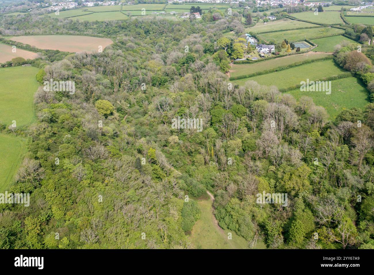 Aerial view of woodland in Bishopston Valley, Gower, Wales, UK Stock ...