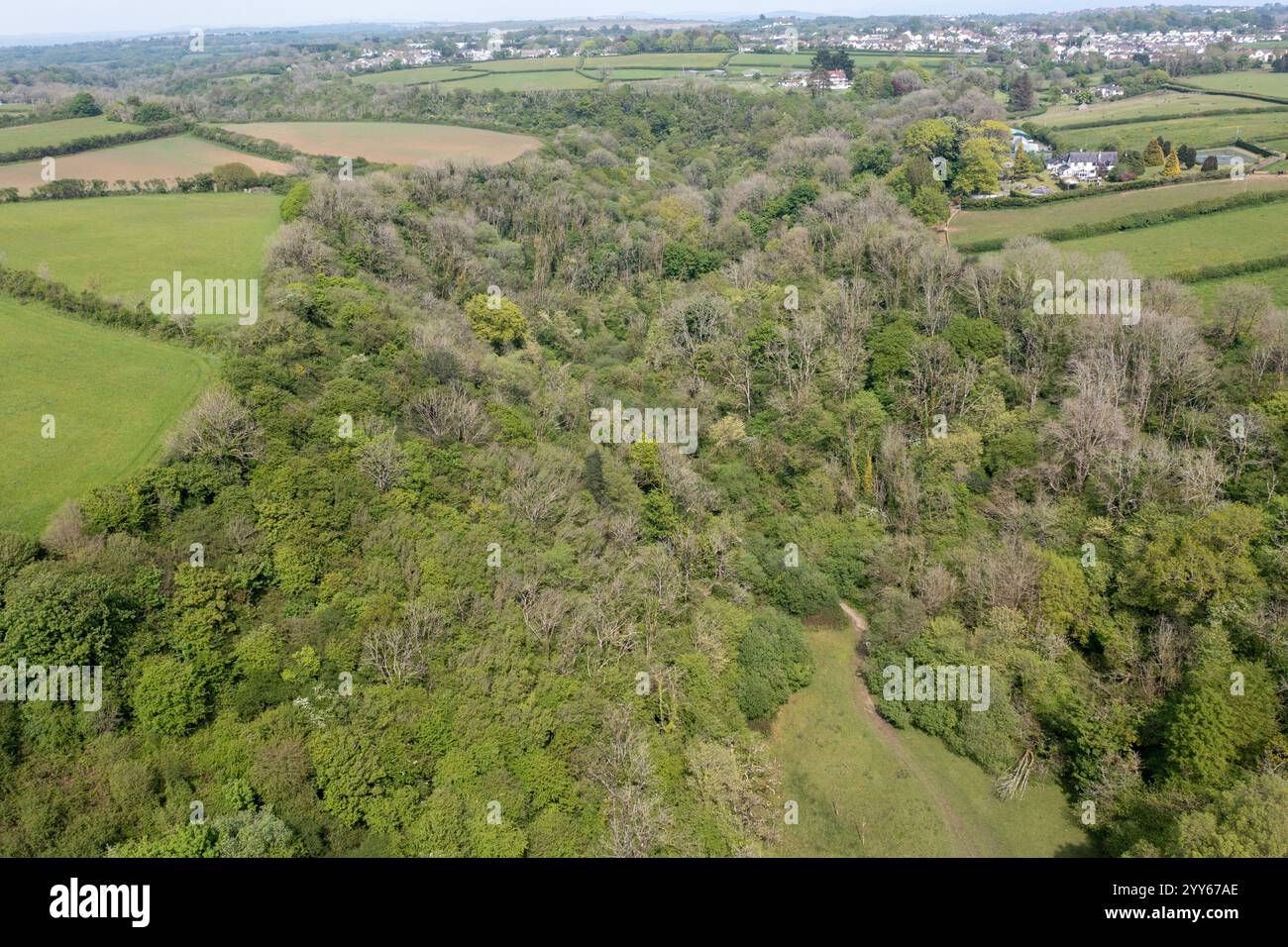 Aerial view of woodland in Bishopston Valley, Gower, Wales, UK Stock ...