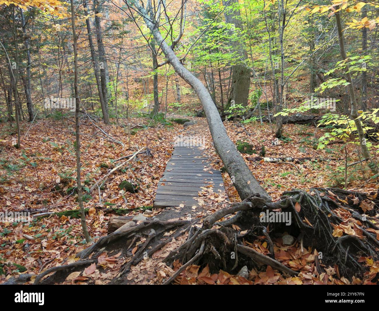 Wilton wildlife preserve hi-res stock photography and images - Alamy