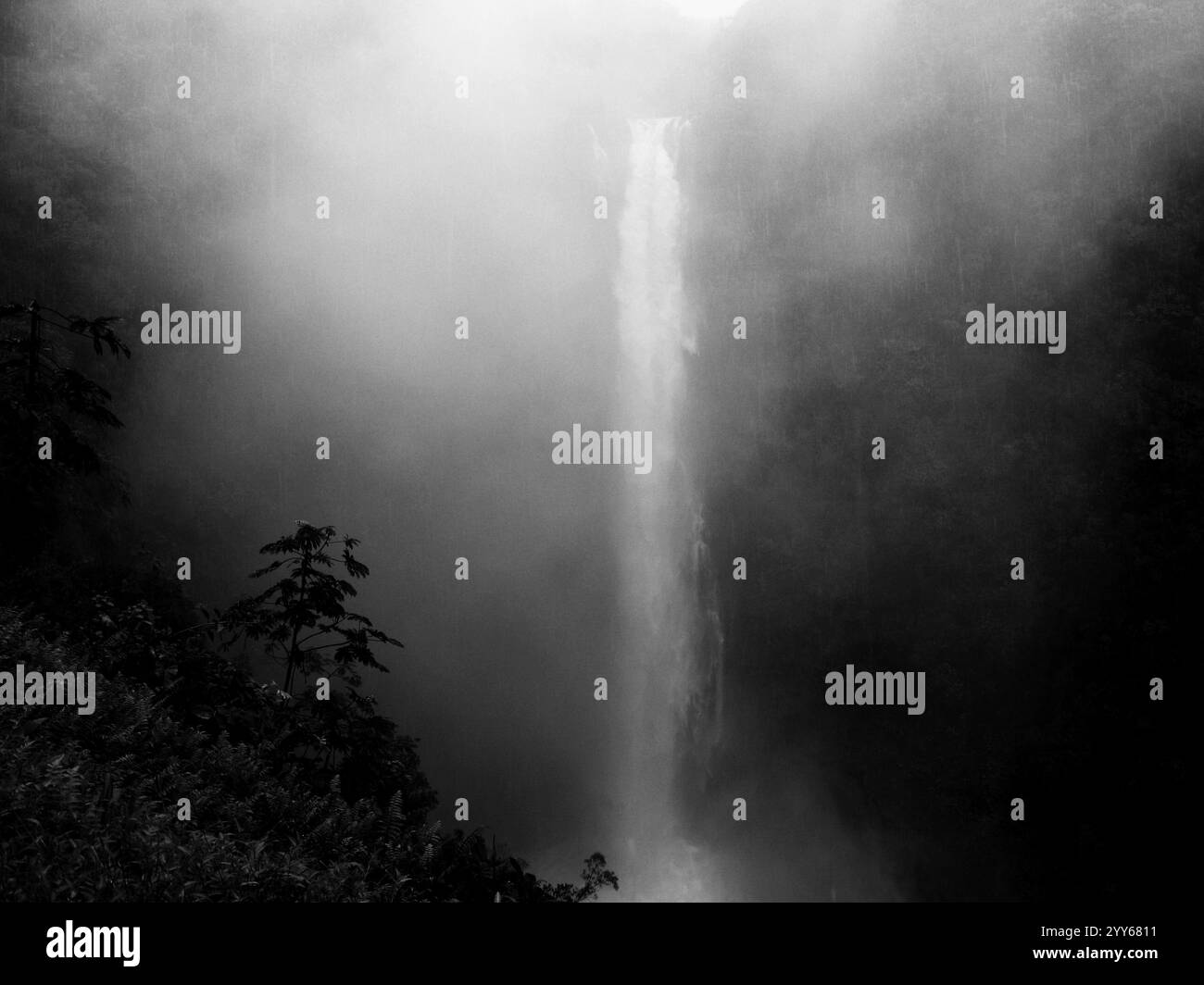 Akaka Falls State Park is a tropical rainforest waterfall in Hawaii Big ...