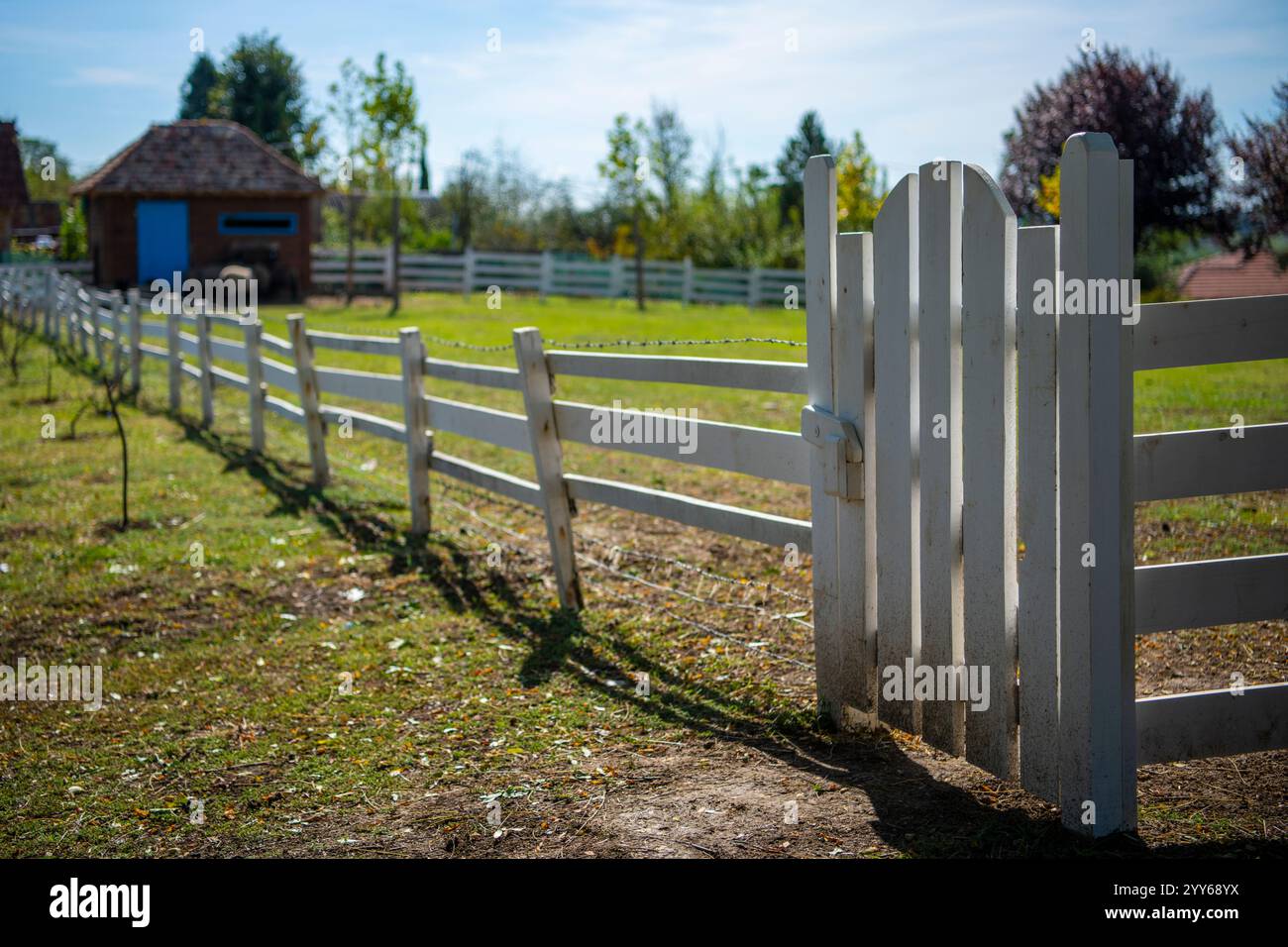 Beautiful countryside white cattle wooden fence and a farmhouse in the ...
