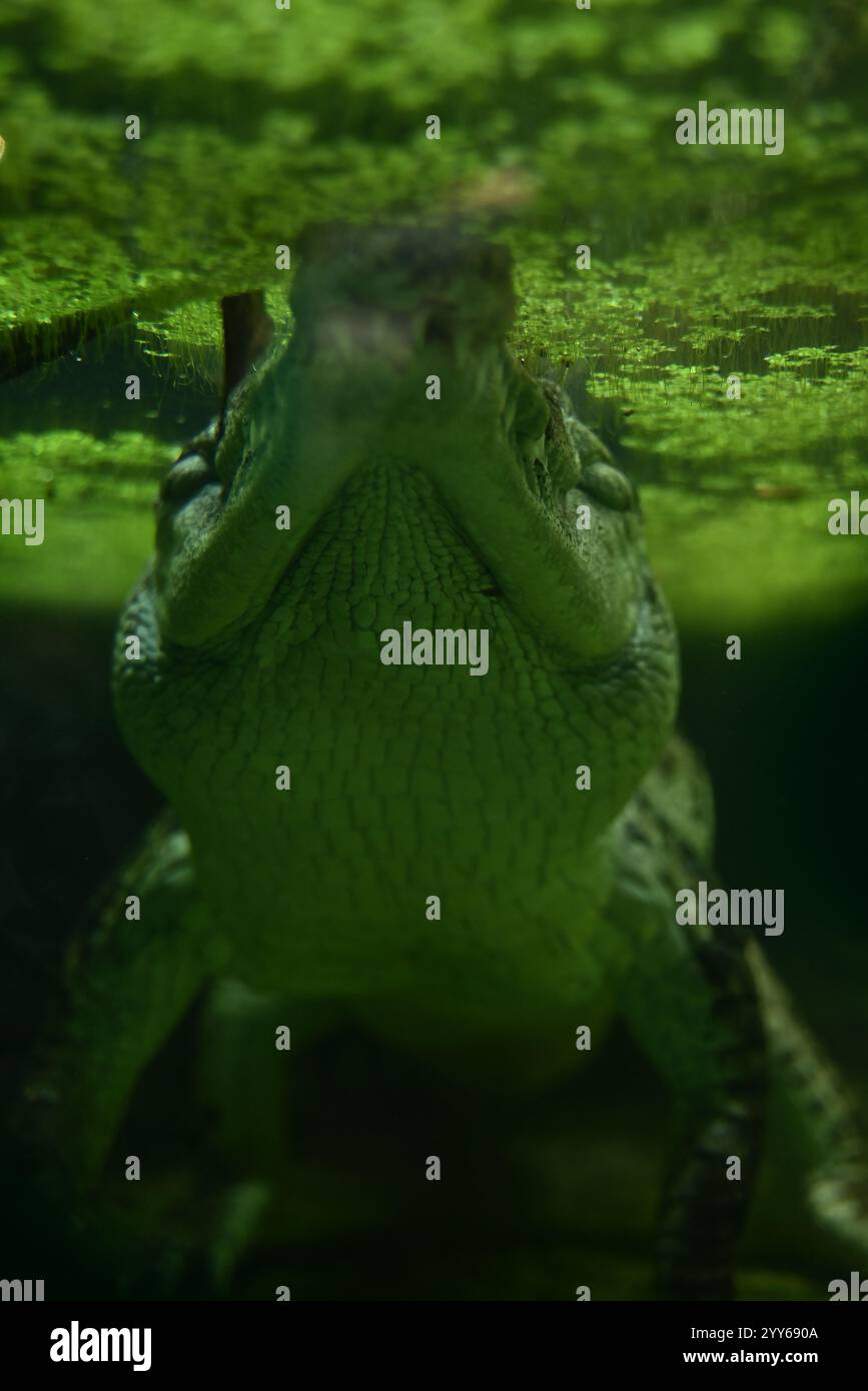 Hop around the world and experience some of the rarest and most unique ...