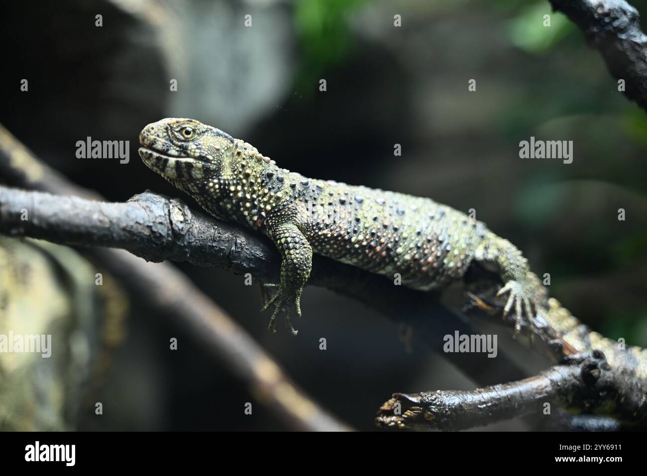 Hop around the world and experience some of the rarest and most unique ...