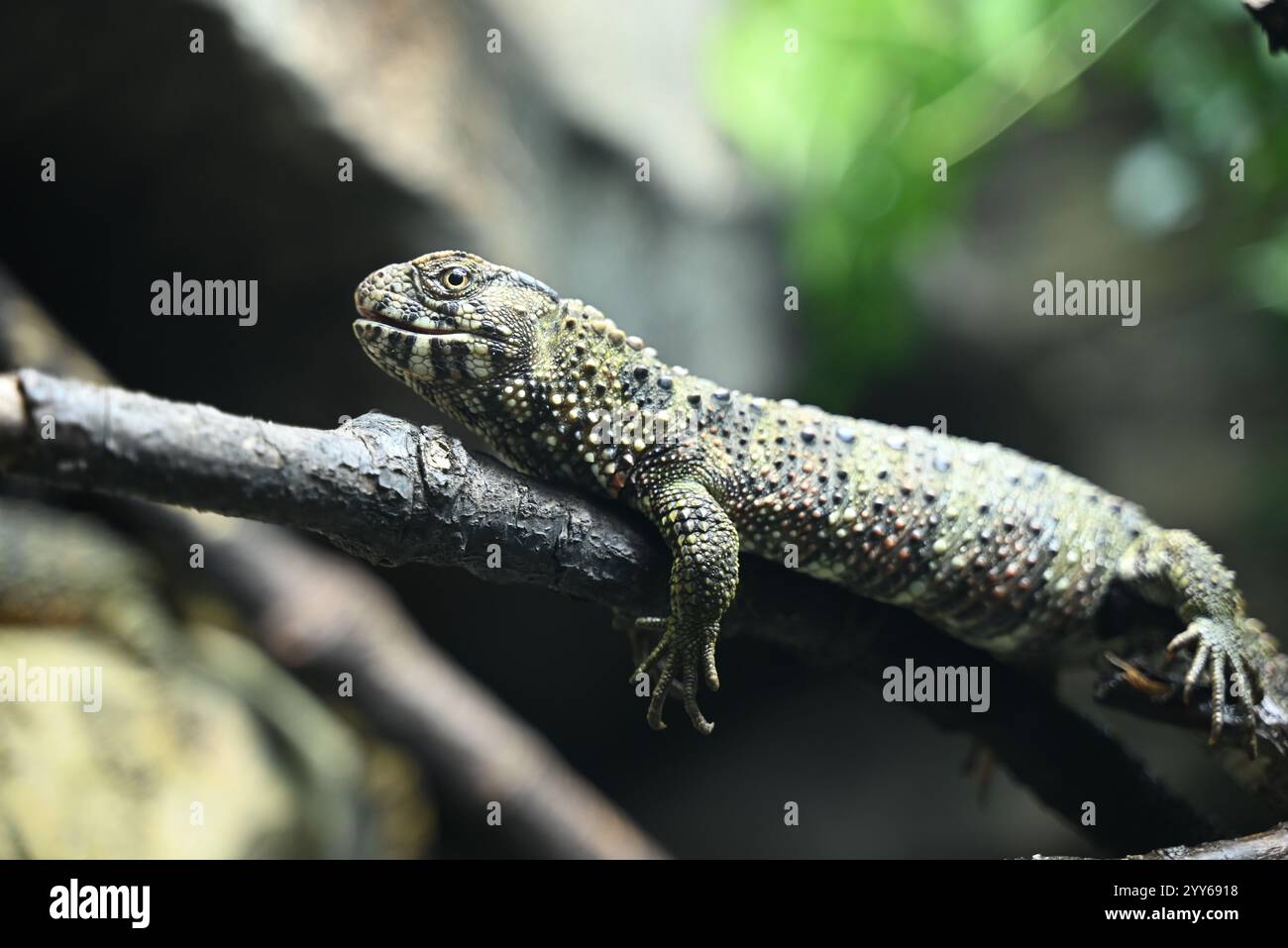 Hop around the world and experience some of the rarest and most unique ...