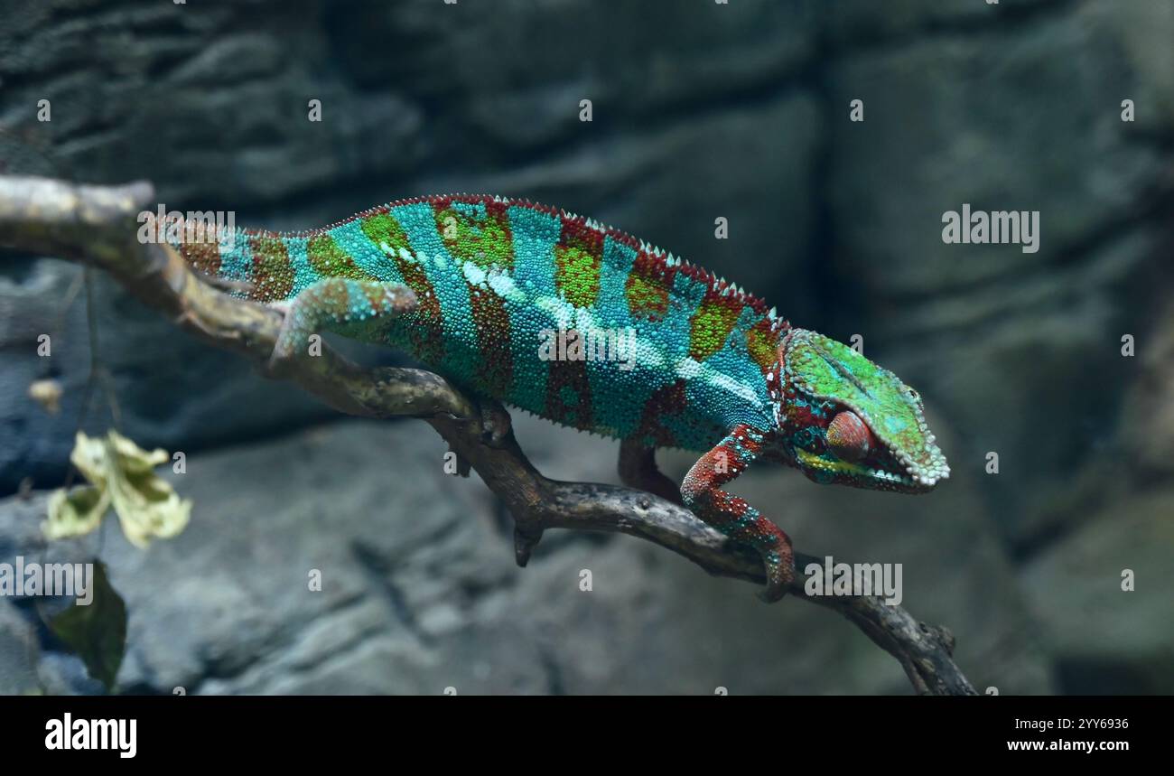 Hop around the world and experience some of the rarest and most unique ...