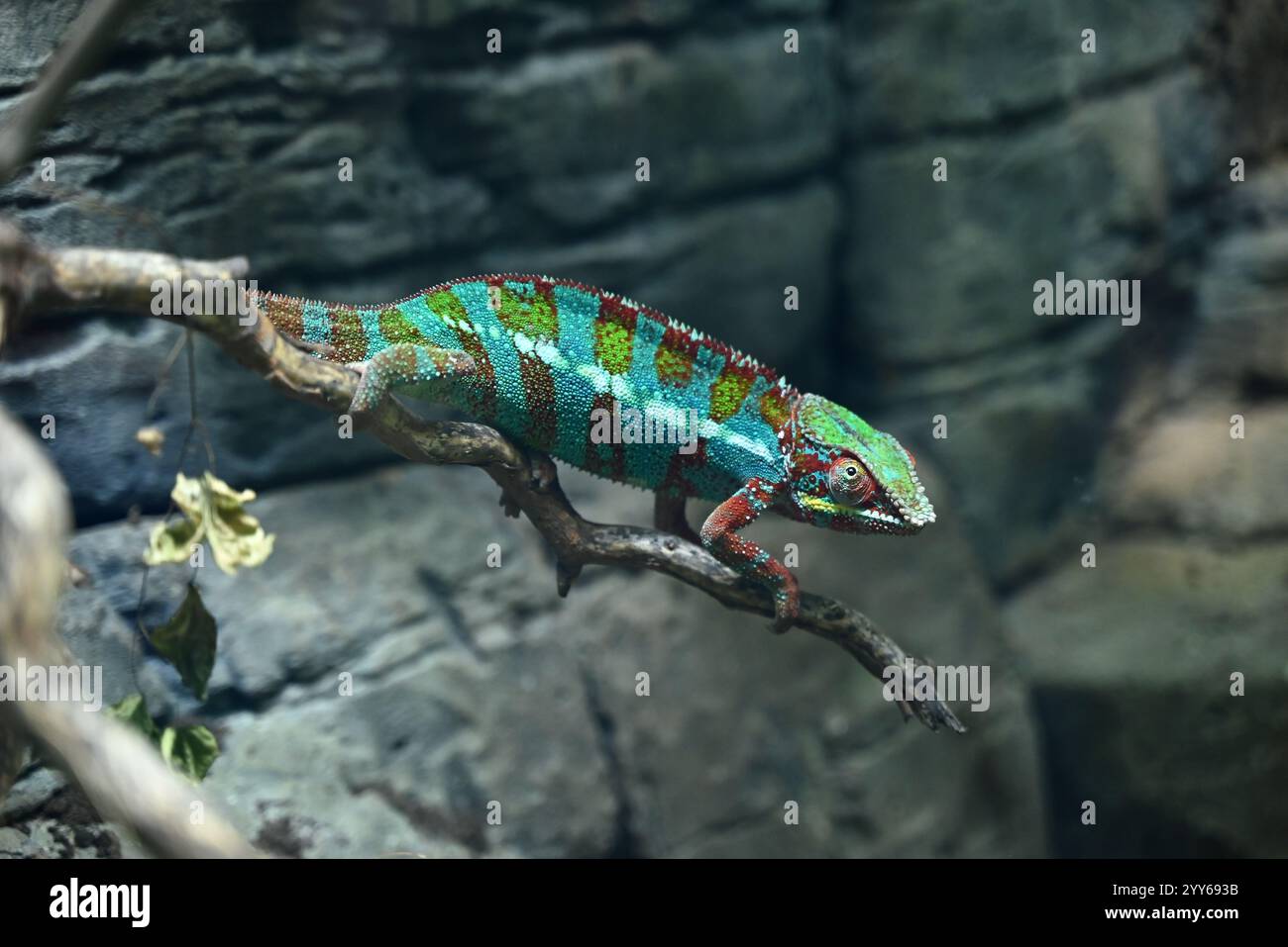 Hop around the world and experience some of the rarest and most unique ...