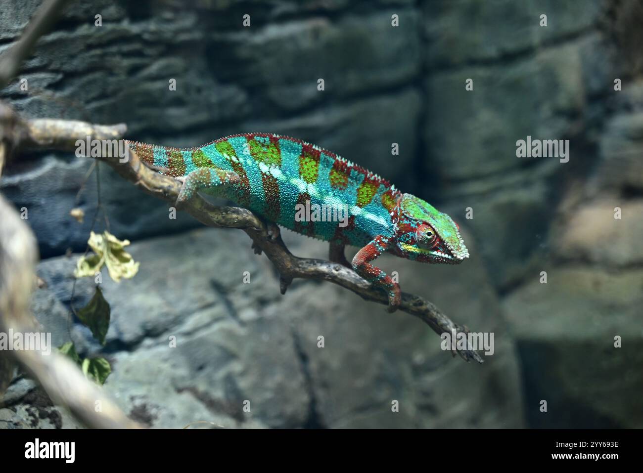 Hop around the world and experience some of the rarest and most unique ...