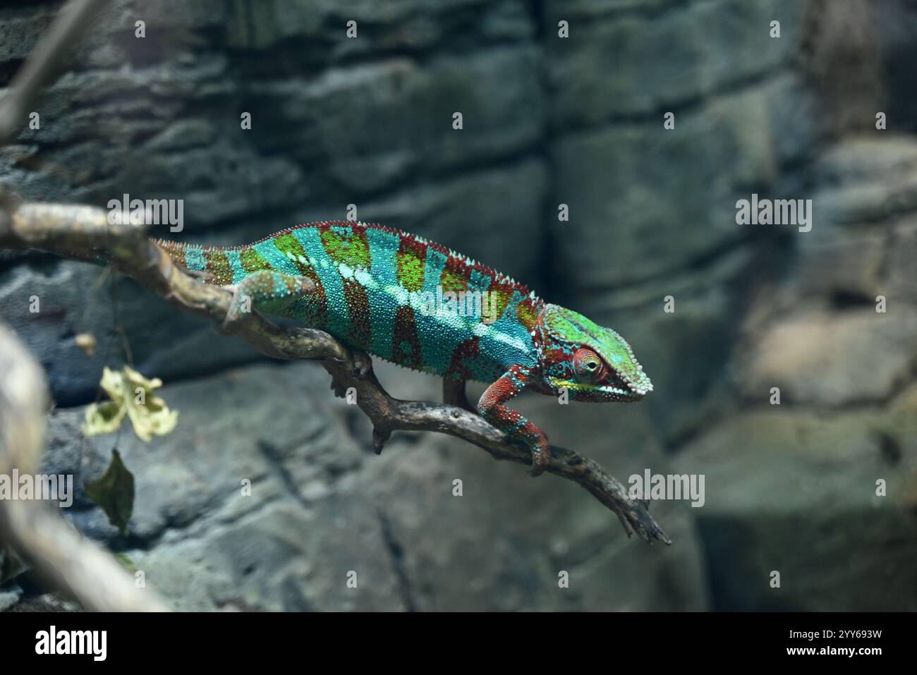 Hop around the world and experience some of the rarest and most unique ...