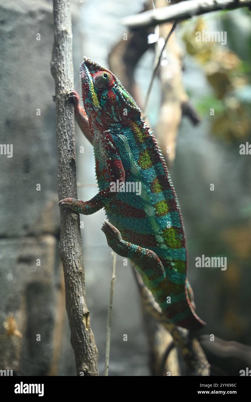 Hop around the world and experience some of the rarest and most unique ...