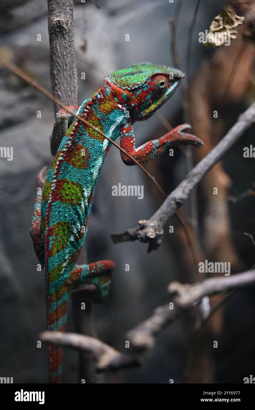 Hop around the world and experience some of the rarest and most unique ...