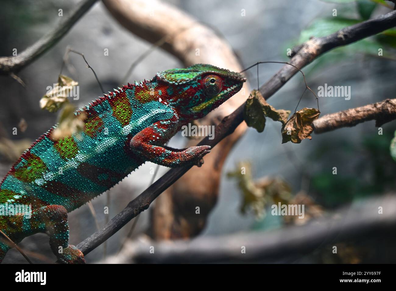 Hop around the world and experience some of the rarest and most unique ...