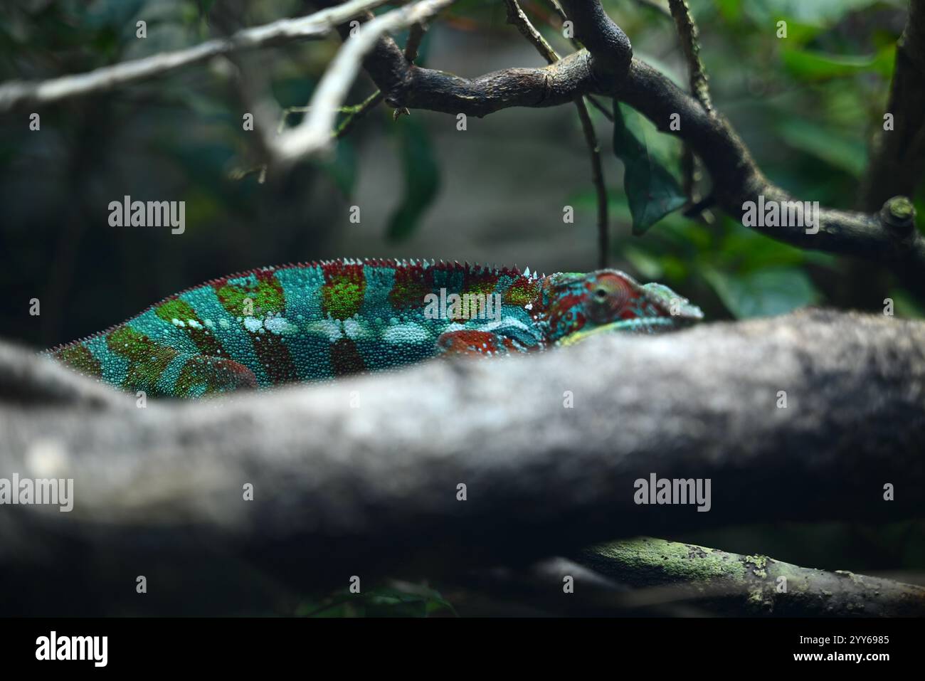 Hop around the world and experience some of the rarest and most unique ...