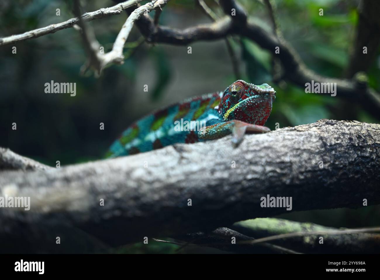 Hop around the world and experience some of the rarest and most unique ...