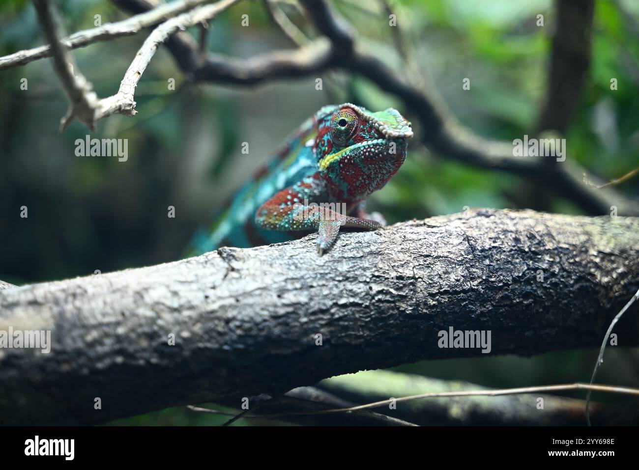 Hop around the world and experience some of the rarest and most unique ...