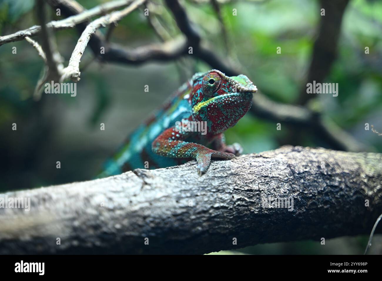 Hop around the world and experience some of the rarest and most unique ...