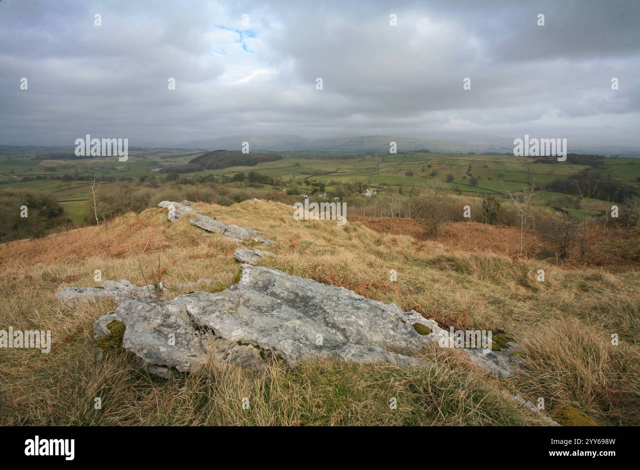 Hutton Roof: a superb example of steeply sloping limestone pavements ...