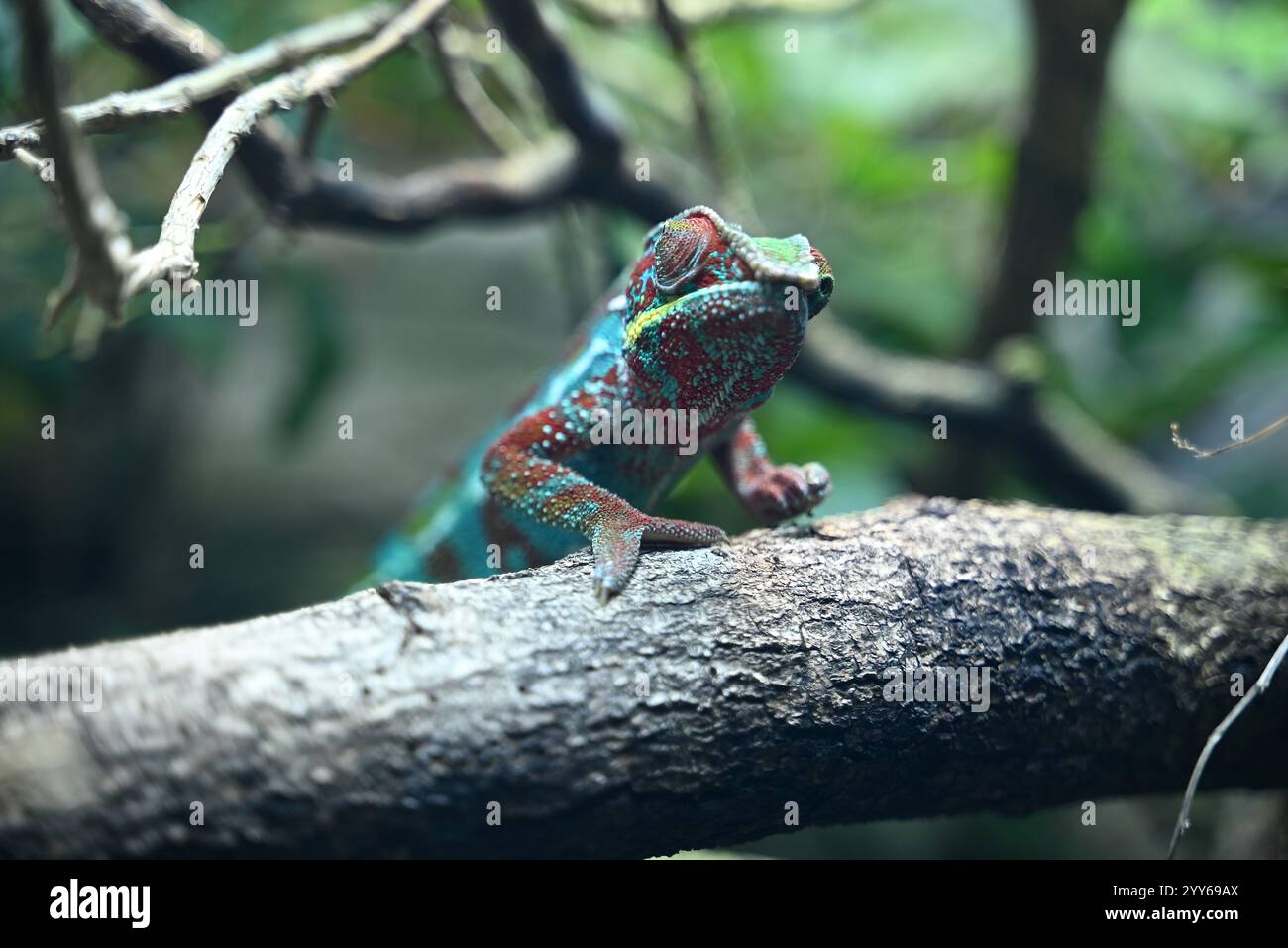 Hop around the world and experience some of the rarest and most unique ...