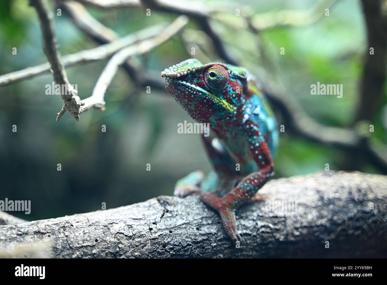 Hop around the world and experience some of the rarest and most unique ...