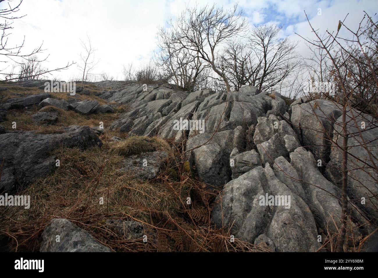 Hutton Roof: a superb example of steeply sloping limestone pavements ...