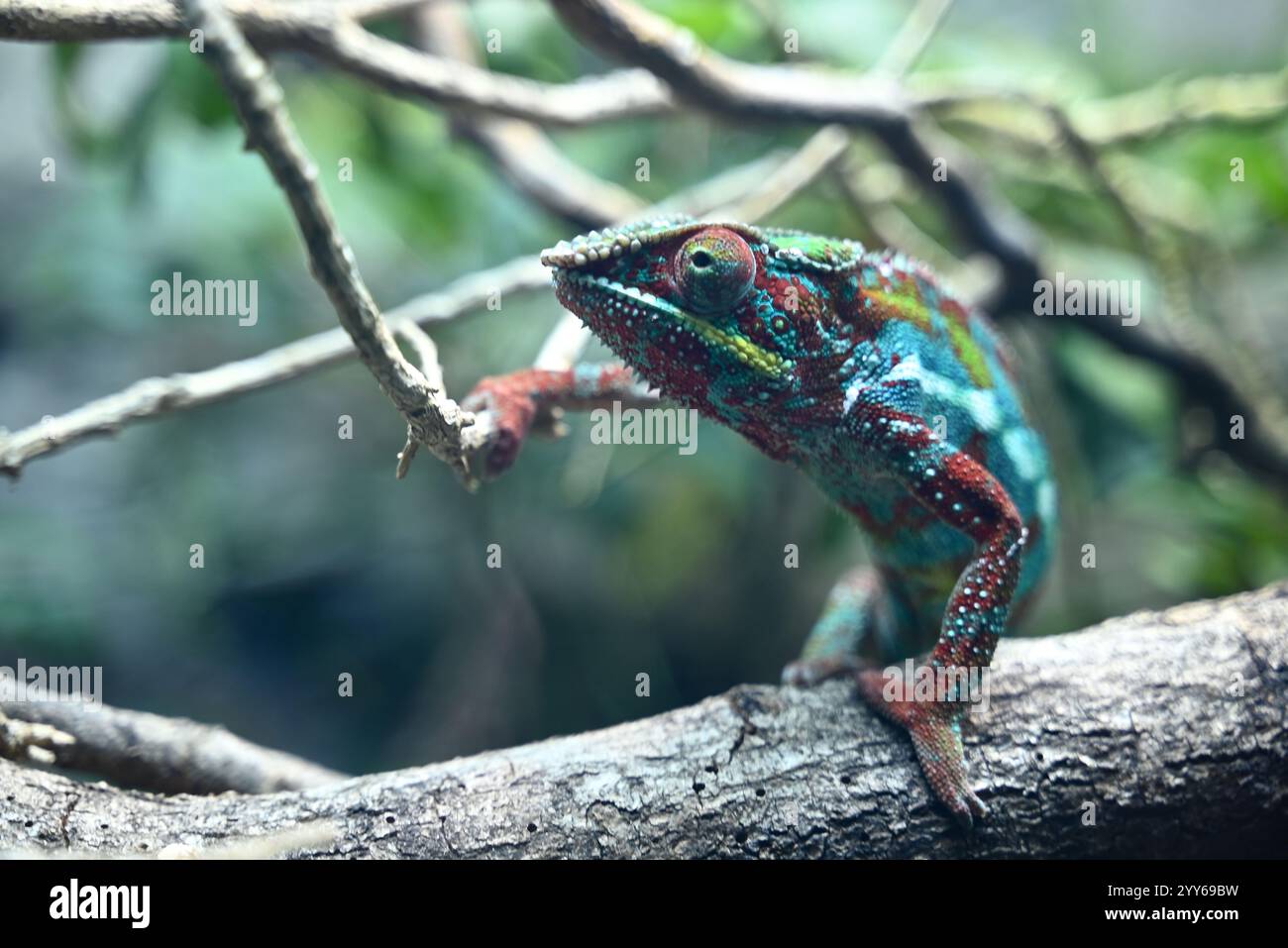 Hop around the world and experience some of the rarest and most unique ...