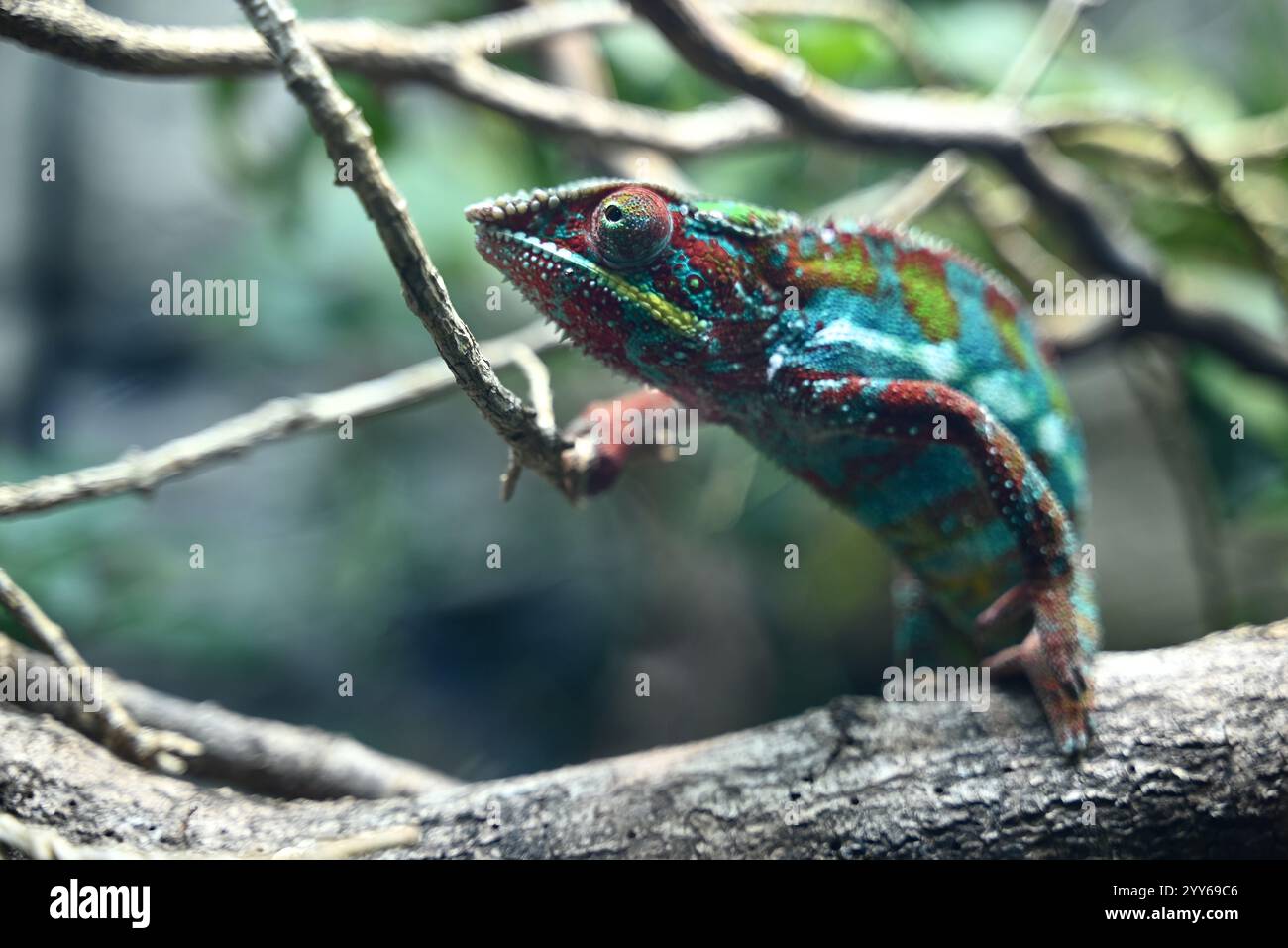 Hop around the world and experience some of the rarest and most unique ...