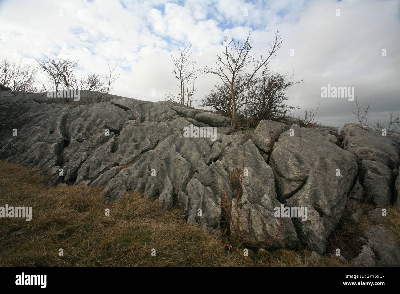 Hutton Roof: a superb example of steeply sloping limestone pavements ...
