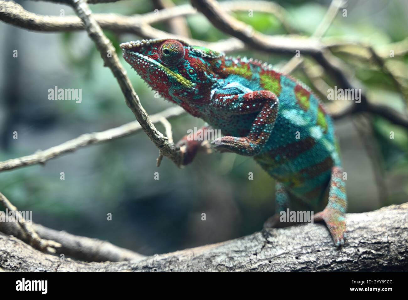 Hop around the world and experience some of the rarest and most unique ...