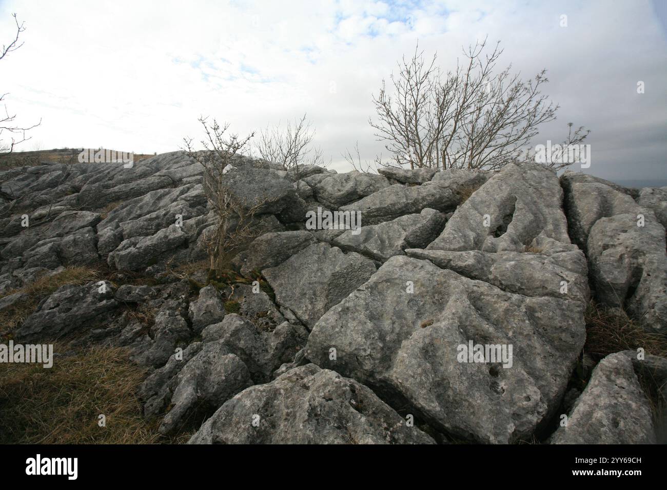 Hutton Roof: a superb example of steeply sloping limestone pavements ...