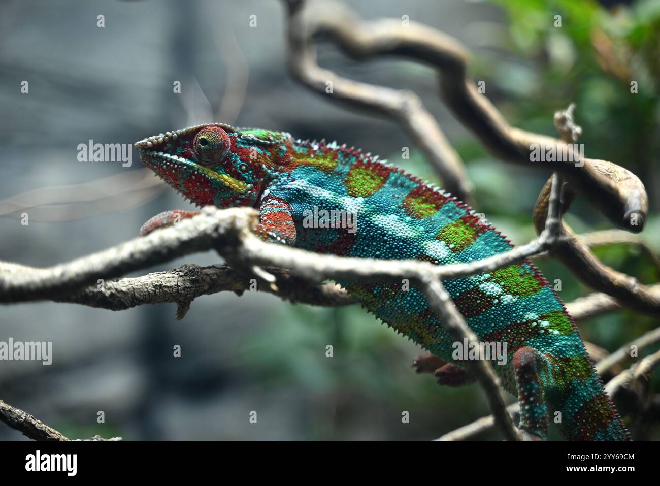 Hop around the world and experience some of the rarest and most unique ...