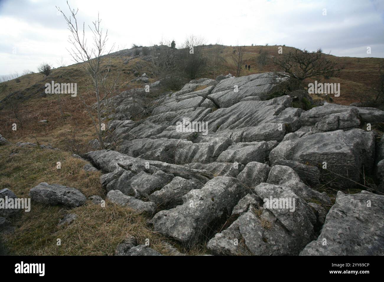 Hutton Roof: a superb example of steeply sloping limestone pavements ...