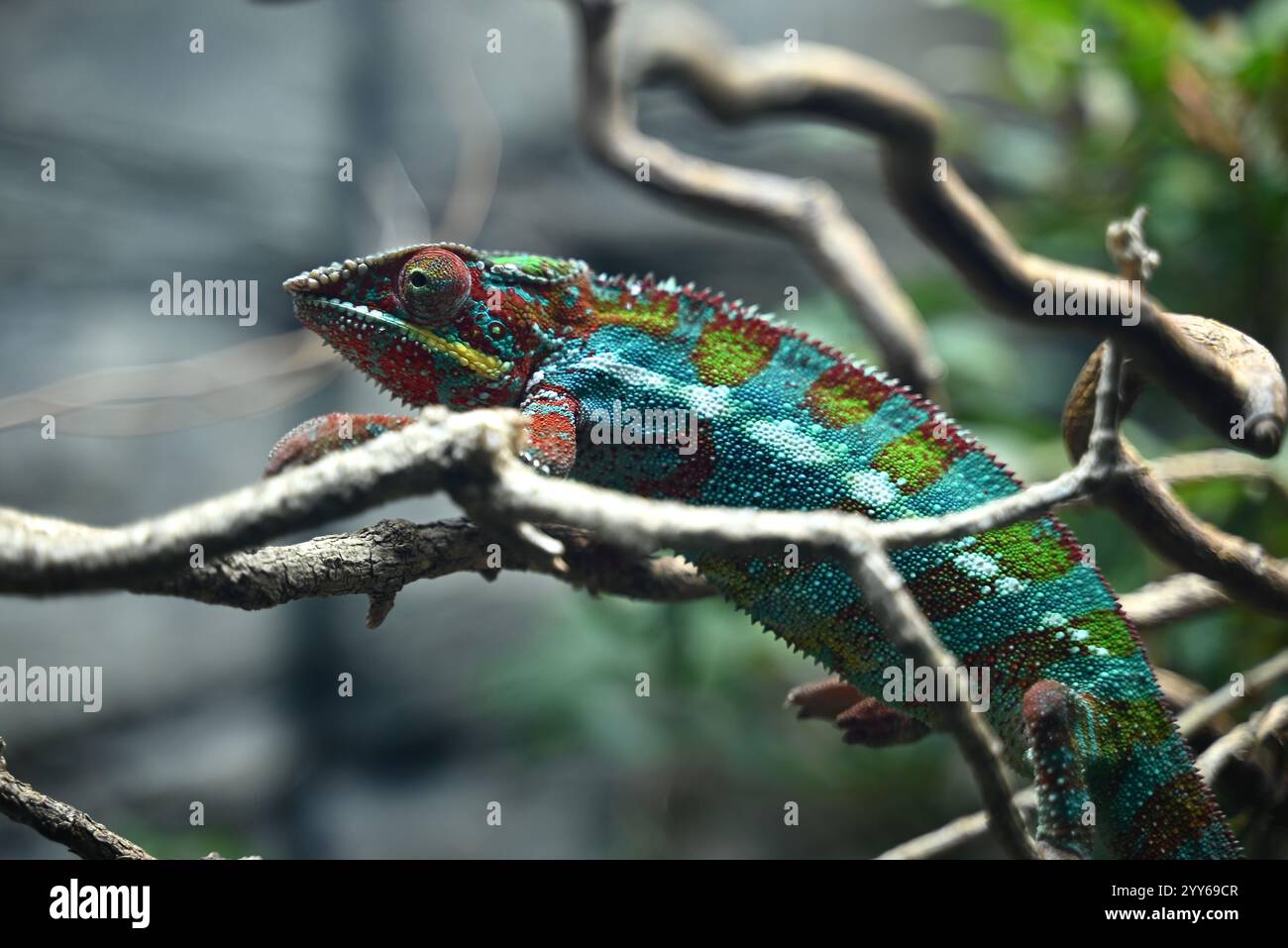 Hop around the world and experience some of the rarest and most unique ...