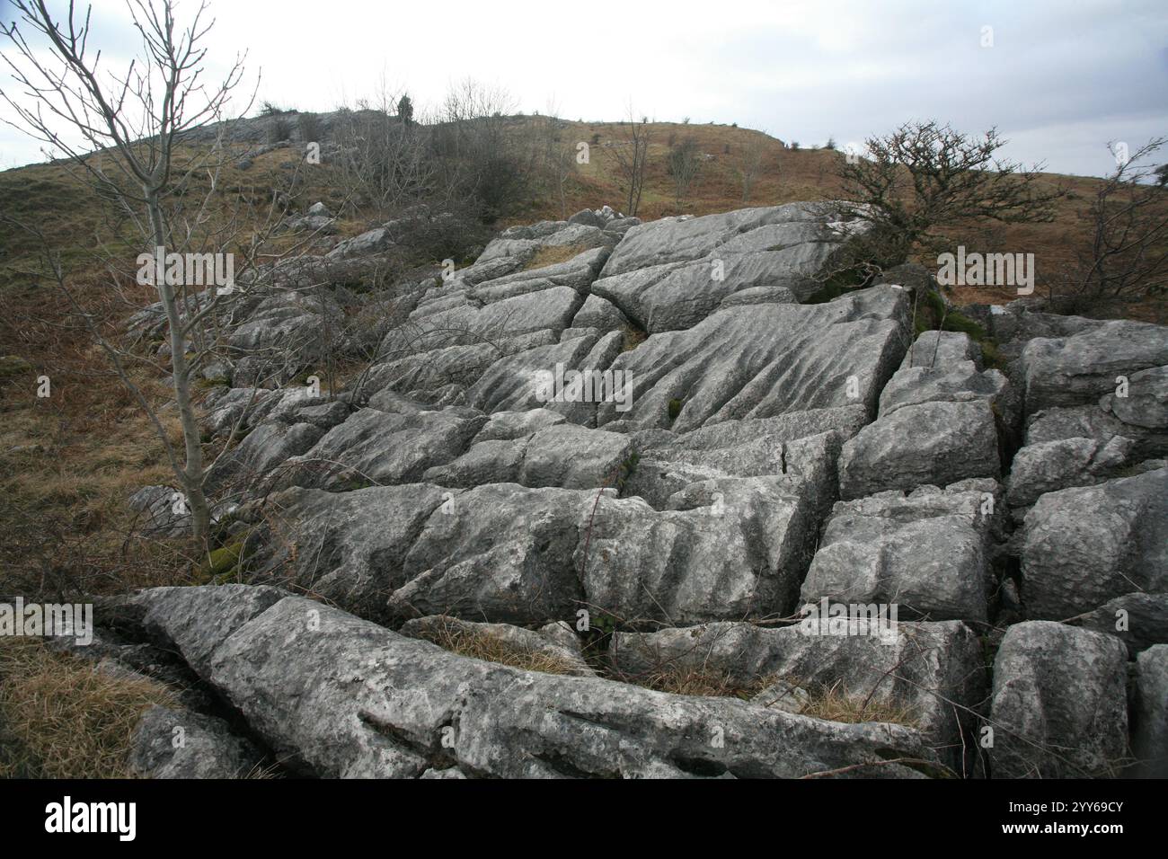 Hutton Roof: a superb example of steeply sloping limestone pavements ...