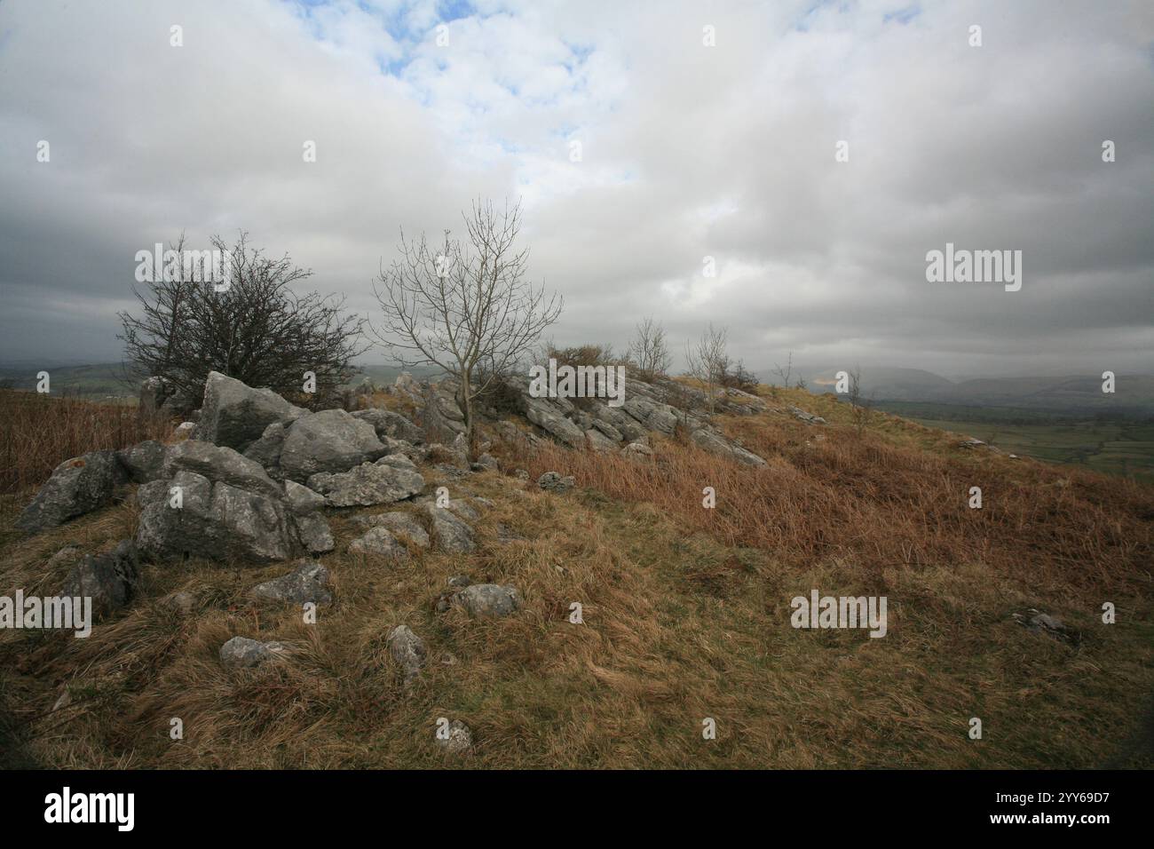 Hutton Roof: a superb example of steeply sloping limestone pavements ...