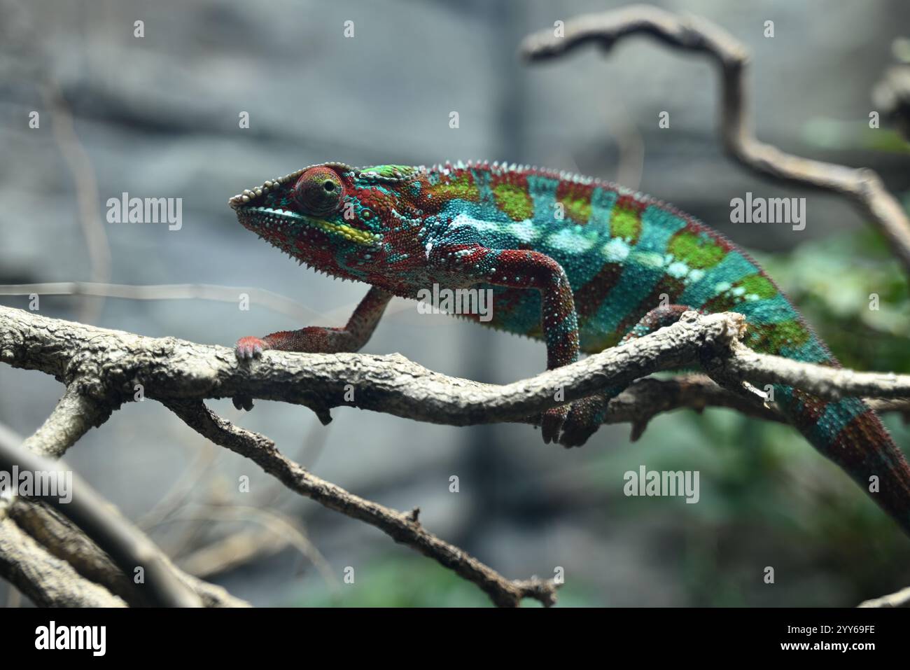 Hop around the world and experience some of the rarest and most unique ...