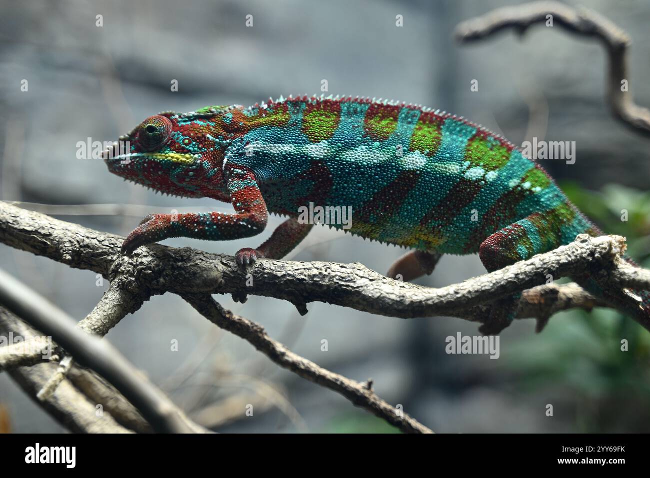 Hop around the world and experience some of the rarest and most unique ...