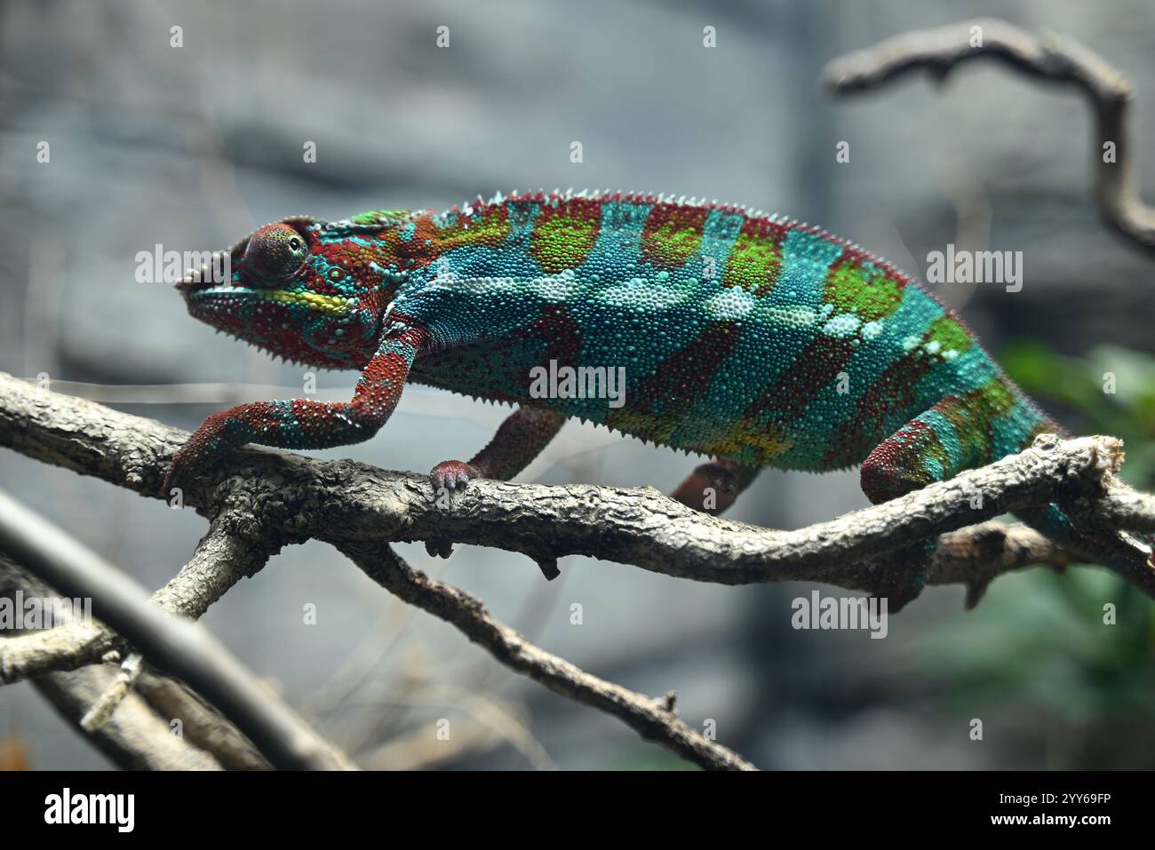 Hop around the world and experience some of the rarest and most unique ...