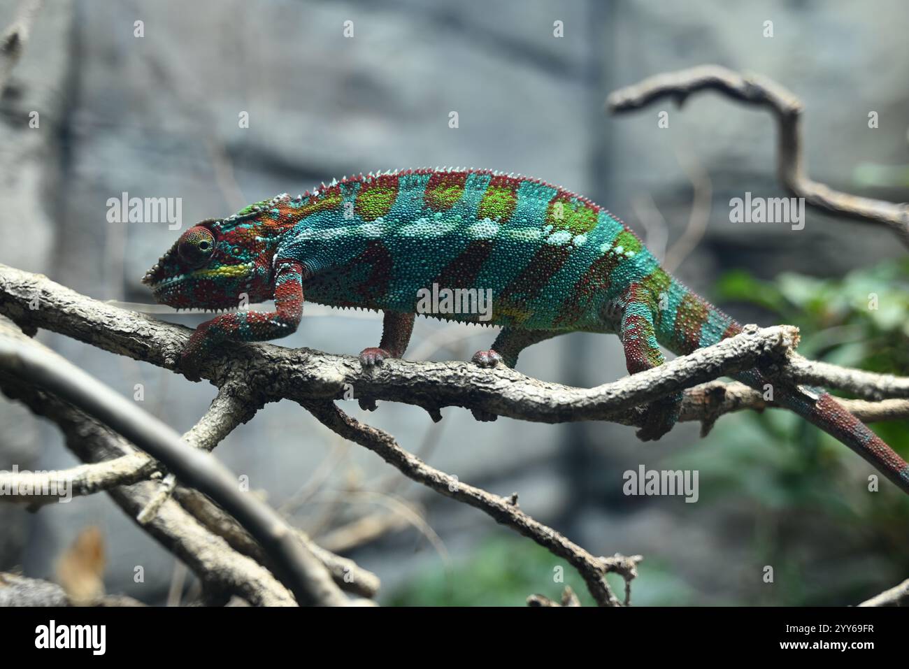 Hop around the world and experience some of the rarest and most unique ...