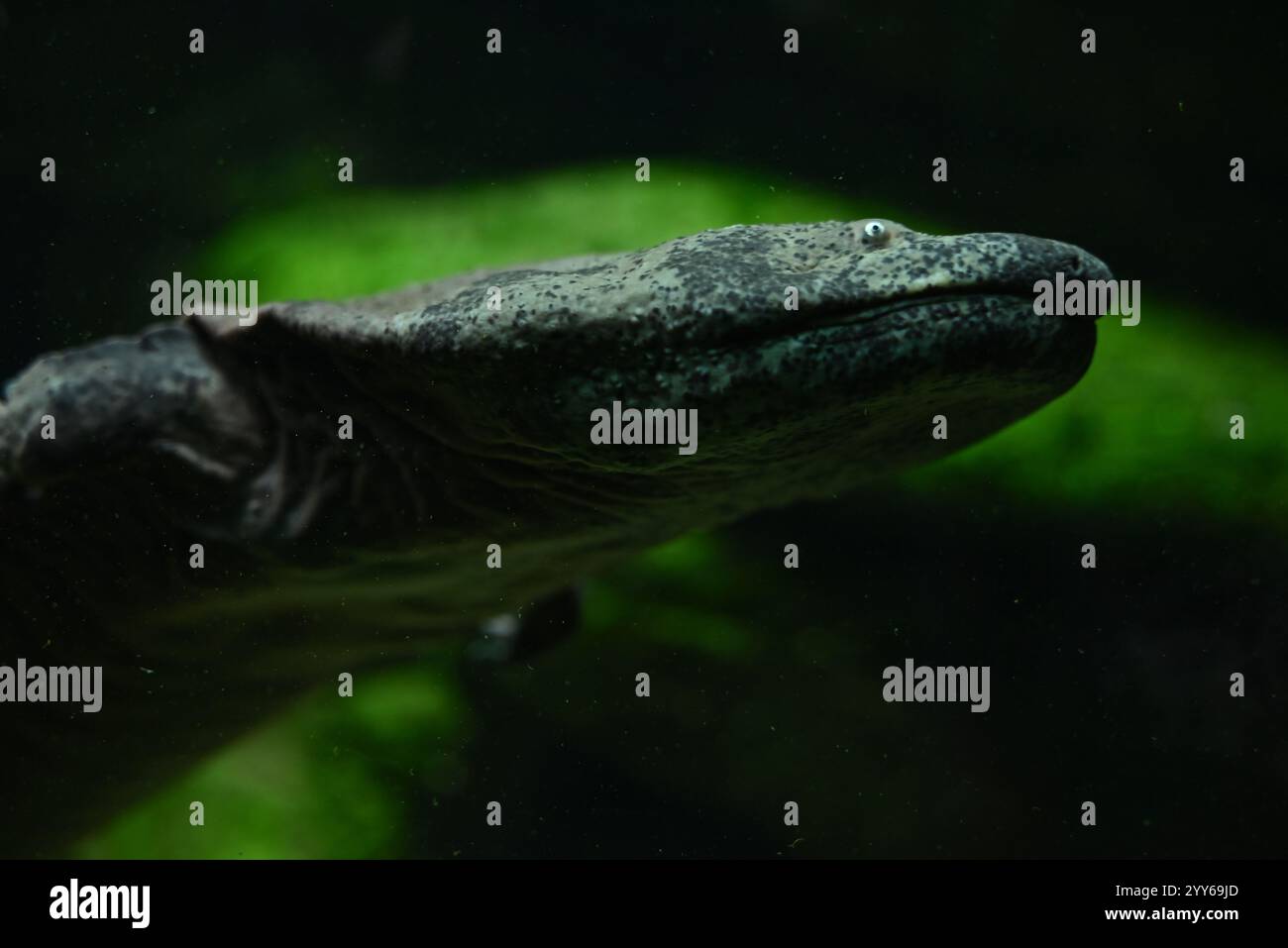 Hop around the world and experience some of the rarest and most unique ...