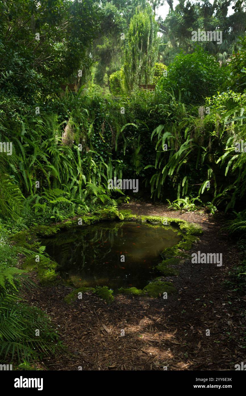A quiet pond at the Bok Tower Gardens surrounded by plants and nature Stock Photo - Alamy