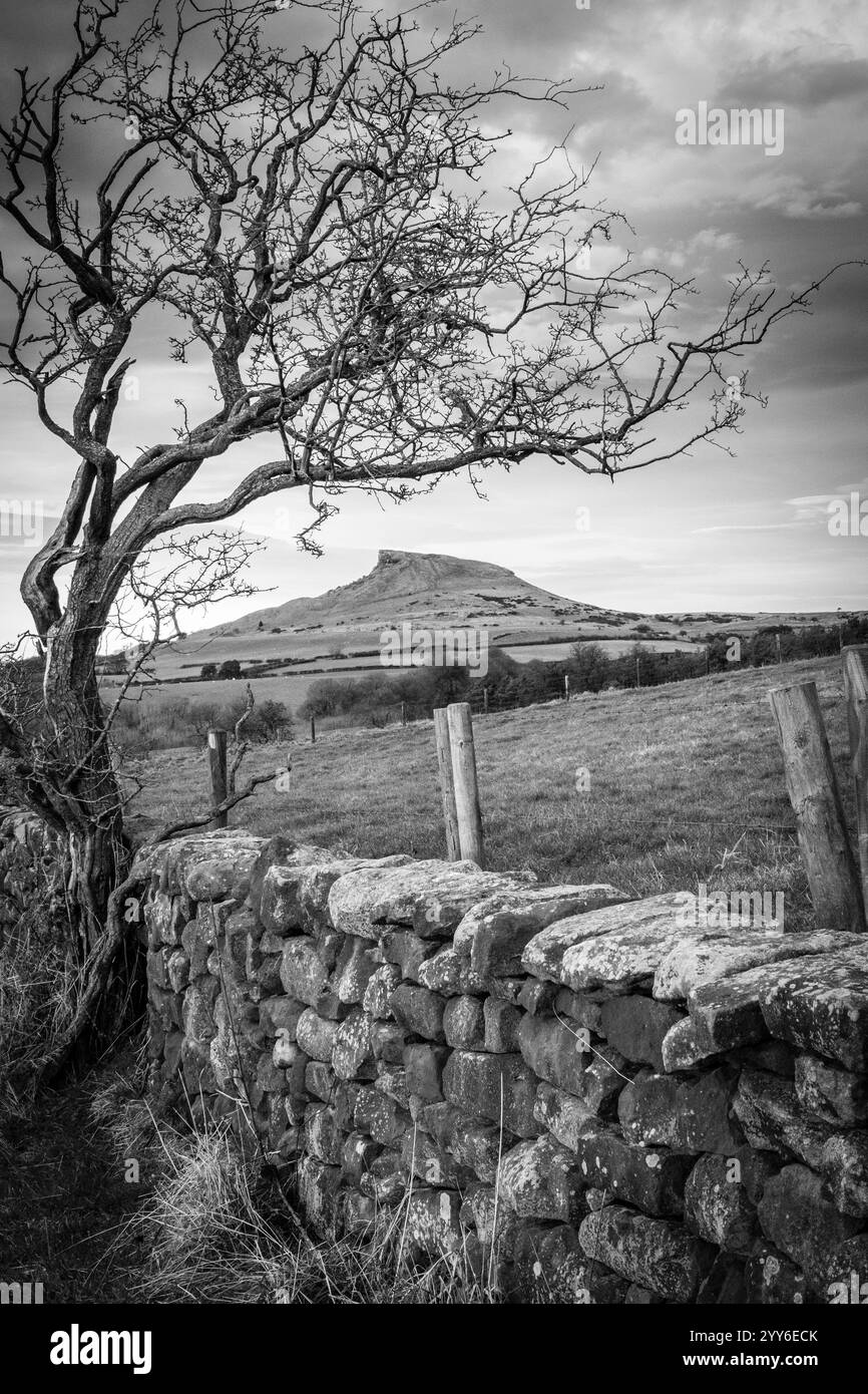 Roseberry Topping on the North Yorkshire Moors, Cleveland Way Trail ...