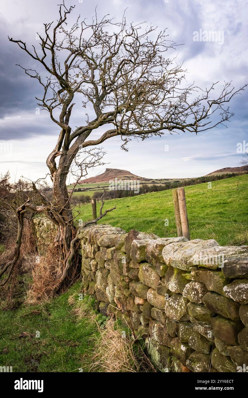 Roseberry Topping on the North Yorkshire Moors, Cleveland Way Trail ...