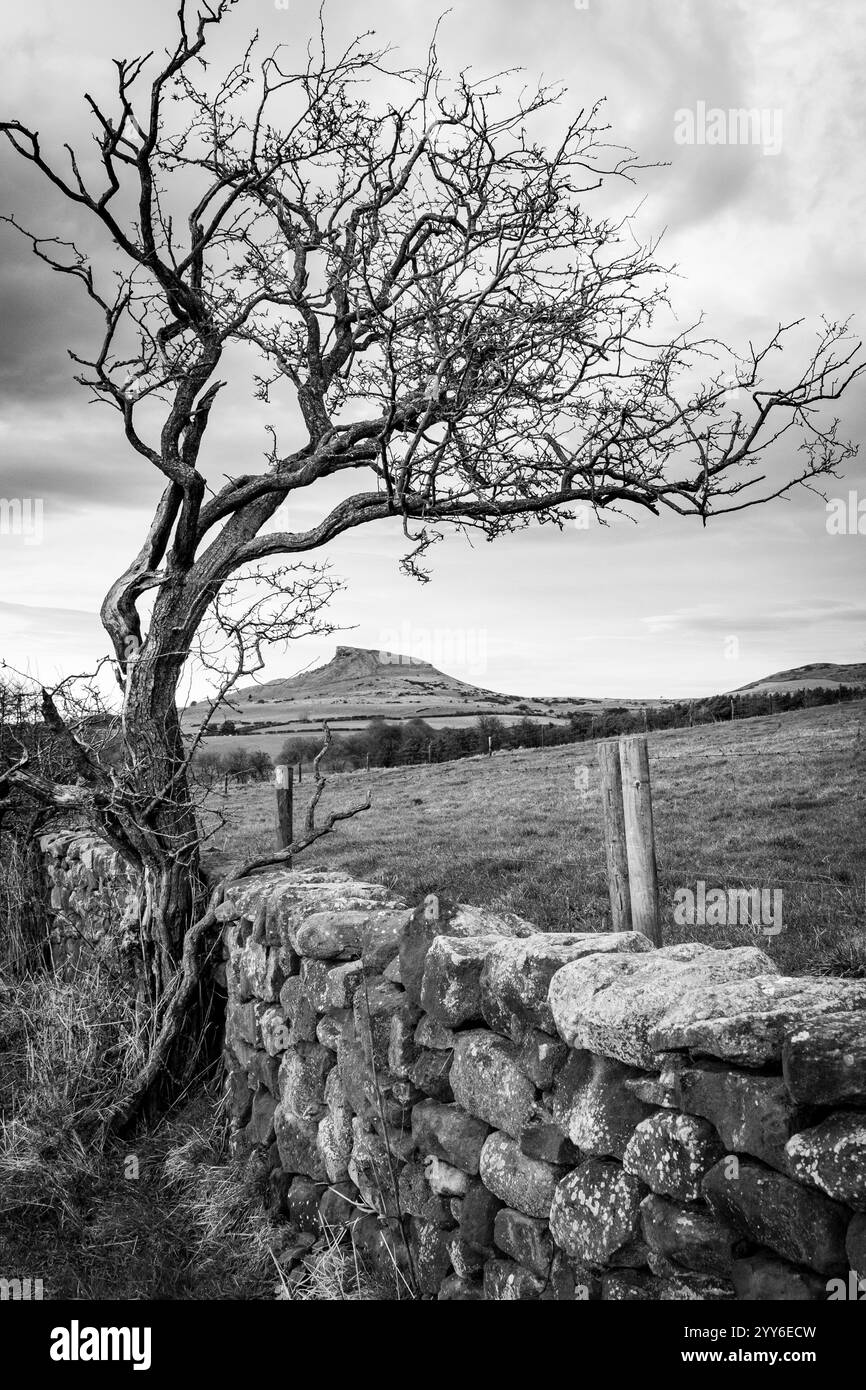 Roseberry Topping on the North Yorkshire Moors, Cleveland Way Trail ...