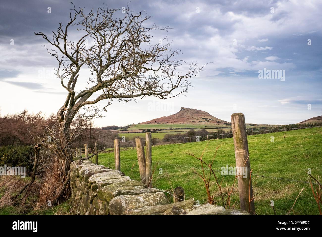 Roseberry Topping on the North Yorkshire Moors, Cleveland Way Trail ...