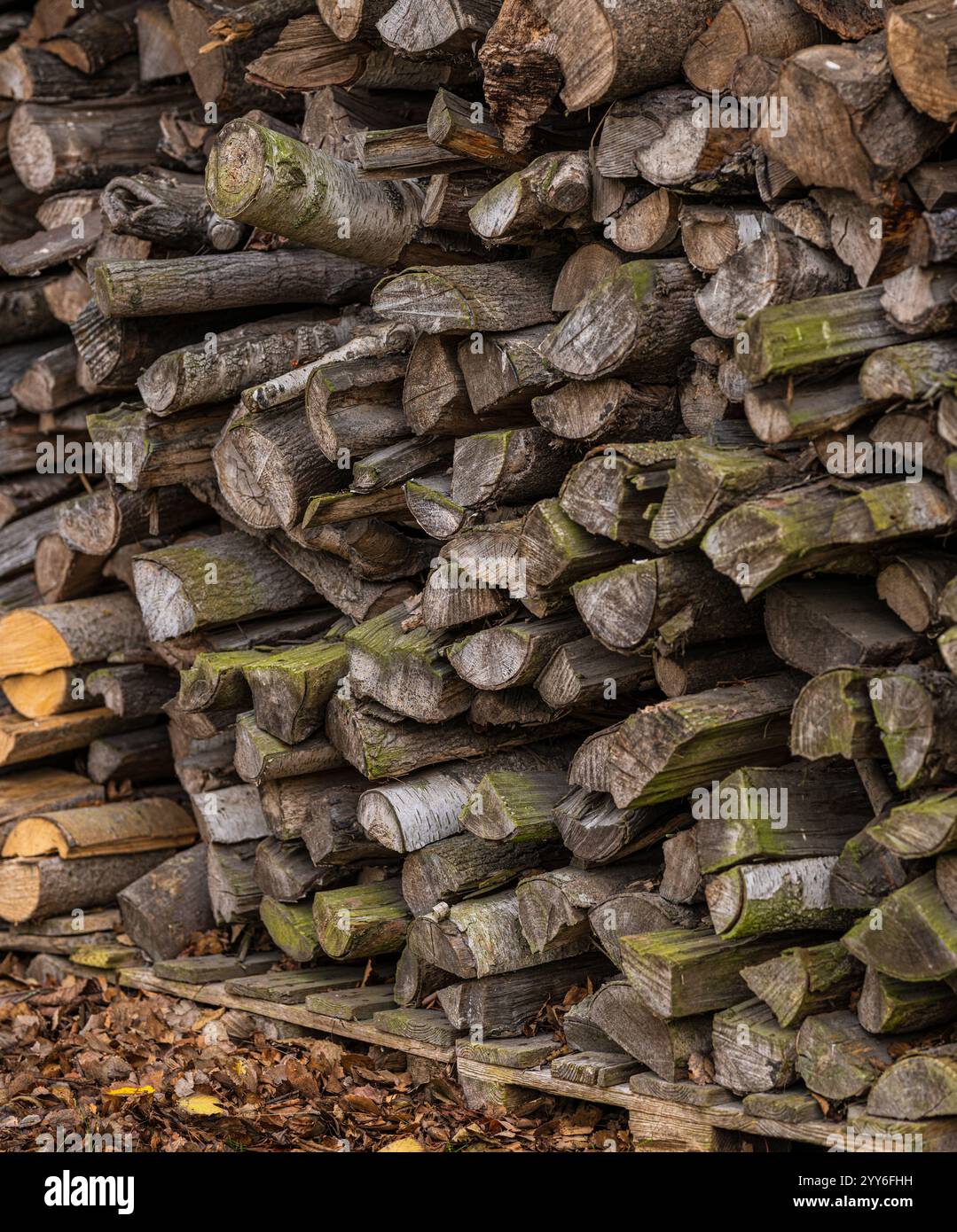 Fire by dry wood hi-res stock photography and images - Alamy