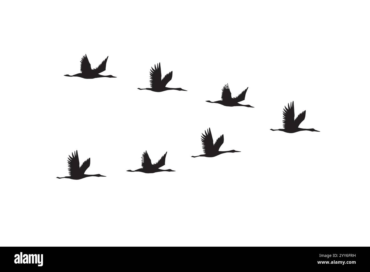 Vector hand drawn flying cranes birds flock silhouette isolated on ...