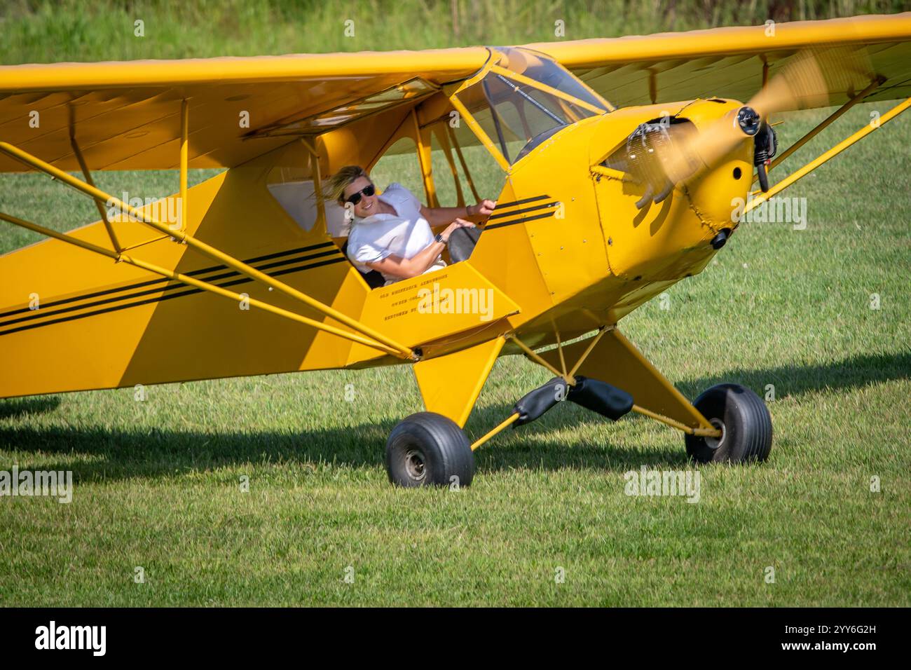Taylor cub hi-res stock photography and images - Alamy