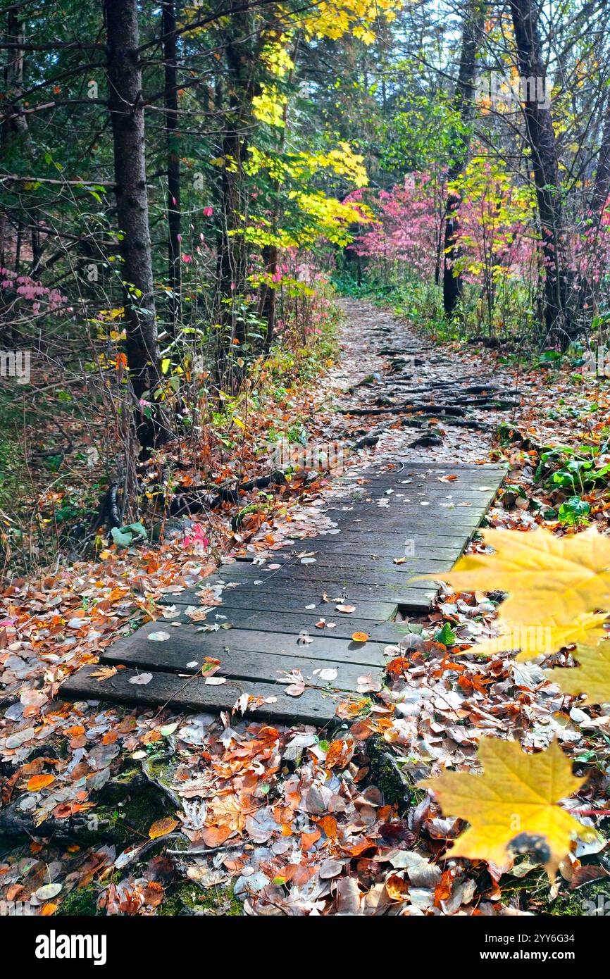 Vertical perspective view hiking hi-res stock photography and images ...